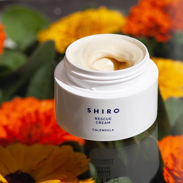 日本美妝品牌「shiro」即將來台，零負評必買品項大公開，酒粕化妝水日妞超推！