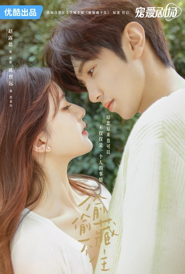 《偷偷藏不住》6大看點：分集劇情、角色介紹，趙露思甜寵純愛劇！