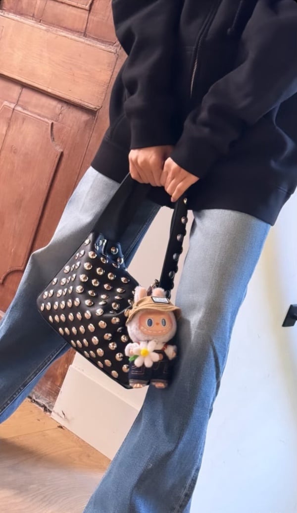 LABUBU角色解析：BLACKPINK Lisa 也愛的「LABUBU」紅什麼？必入手同款盲盒推薦！