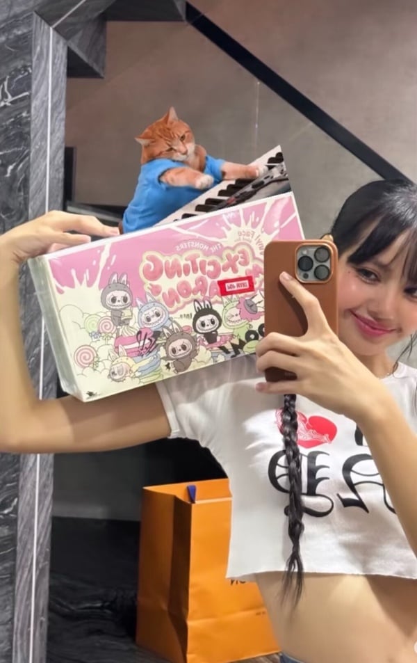 LABUBU角色解析：BLACKPINK Lisa 也愛的「LABUBU」紅什麼？必入手同款盲盒推薦！