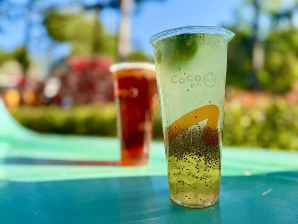 2026 CoCo 都可菜單推薦！網評必喝Top10、最新菜單＆價格一次看