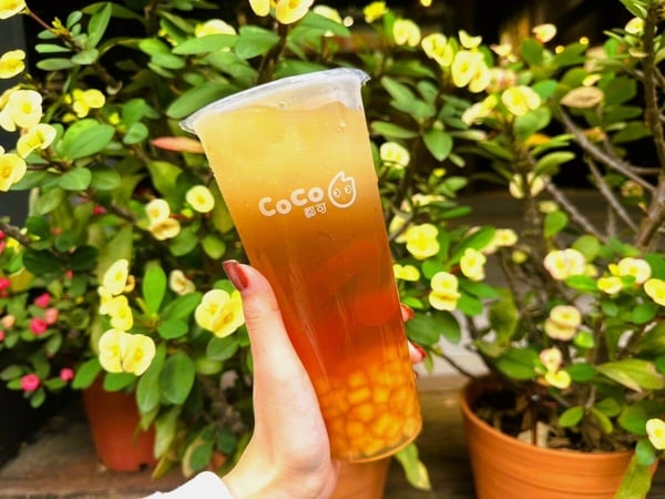 2026 CoCo 都可菜單推薦！網評必喝Top10、最新菜單＆價格一次看