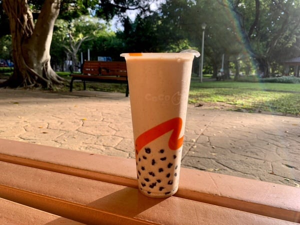 2026 CoCo 都可菜單推薦！網評必喝Top10、最新菜單＆價格一次看