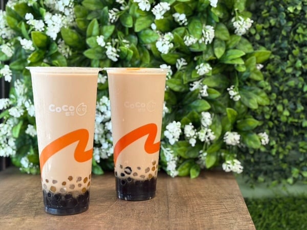 2026 CoCo 都可菜單推薦！網評必喝Top10、最新菜單＆價格一次看