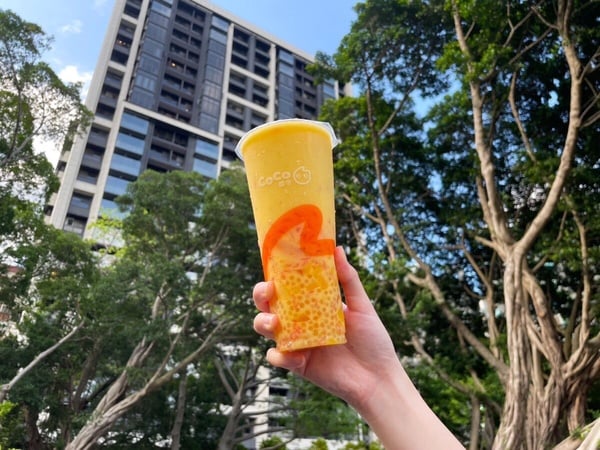 2026 CoCo 都可菜單推薦！網評必喝Top10、最新菜單＆價格一次看