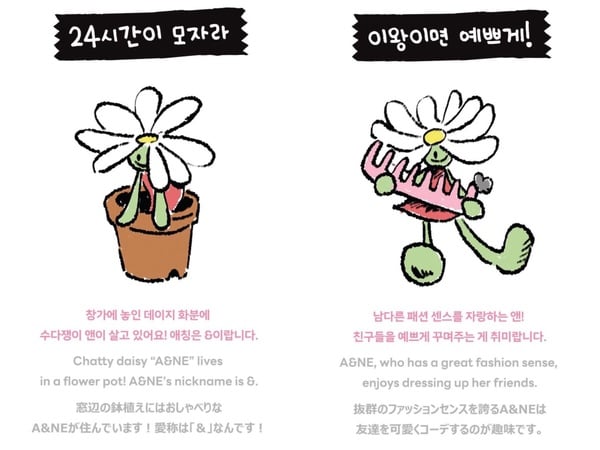 GD愛貓Zoa化身超萌玩偶！「ZO&FRIENDS」家族角色介紹，台灣快閃店、周邊資訊一次看