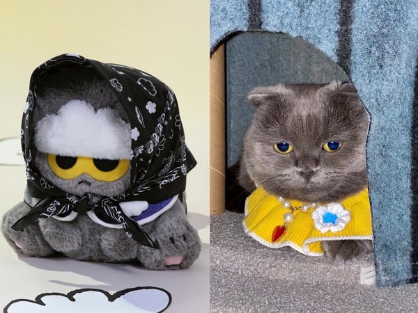 GD愛貓Zoa化身超萌玩偶！「ZO&FRIENDS」家族角色介紹，台灣快閃店、周邊資訊一次看