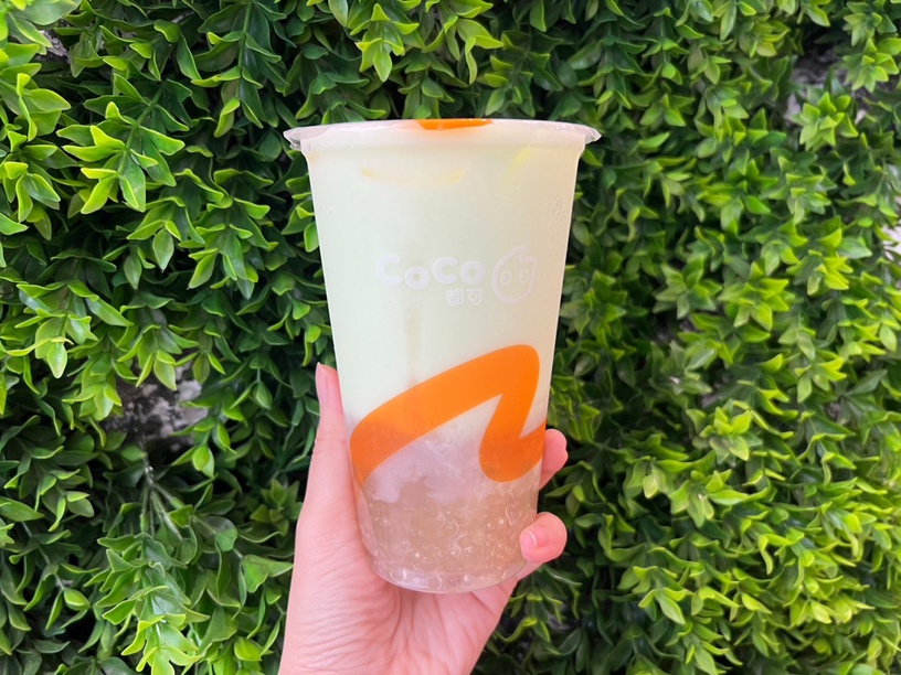 手搖優惠！ CoCo「椰奶啵啵恰恰」買一送一，COMEBUY「玉荷冰綠、荔枝玉露」第2杯半價 - BEAUTY美人圈
